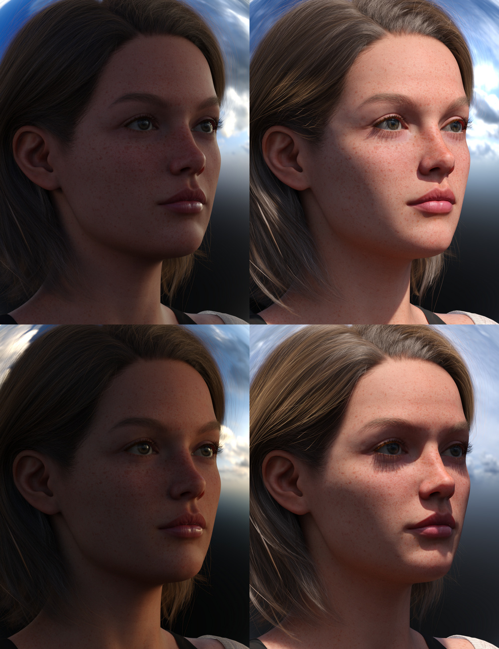 Atmospheric Skies 16k HDRIs with Optimized VDB Haze | Daz 3D