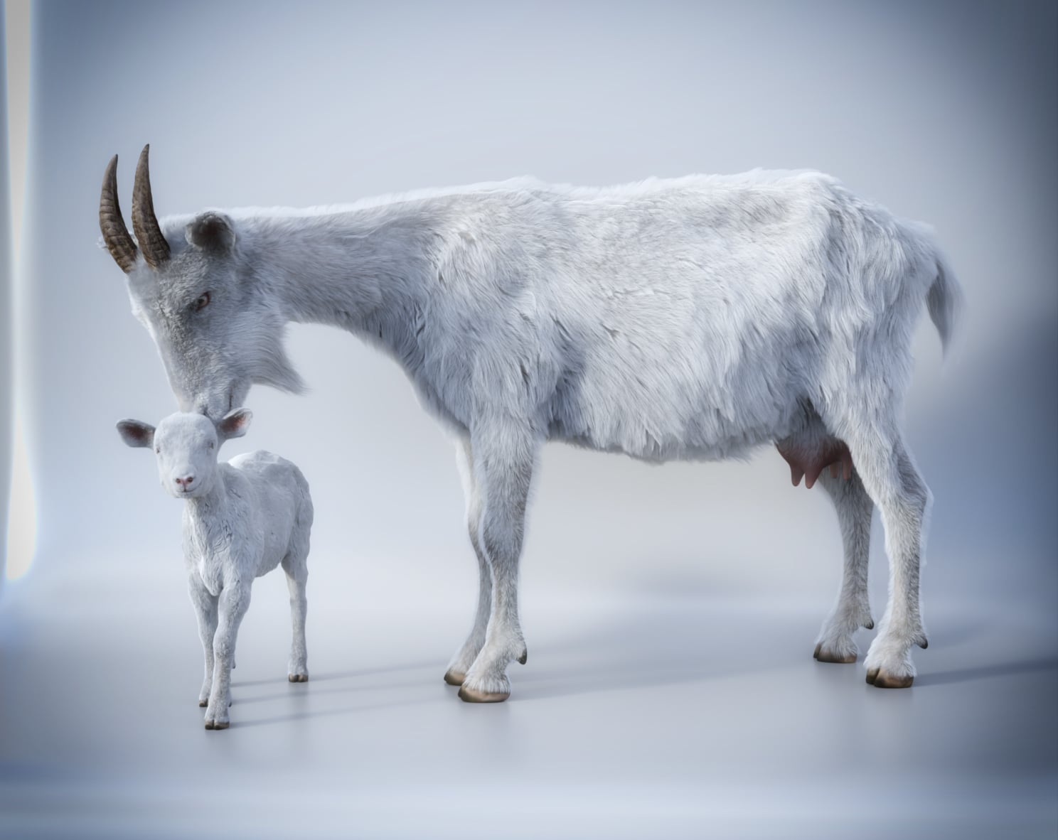 Goat by AM Bundle | Daz 3D