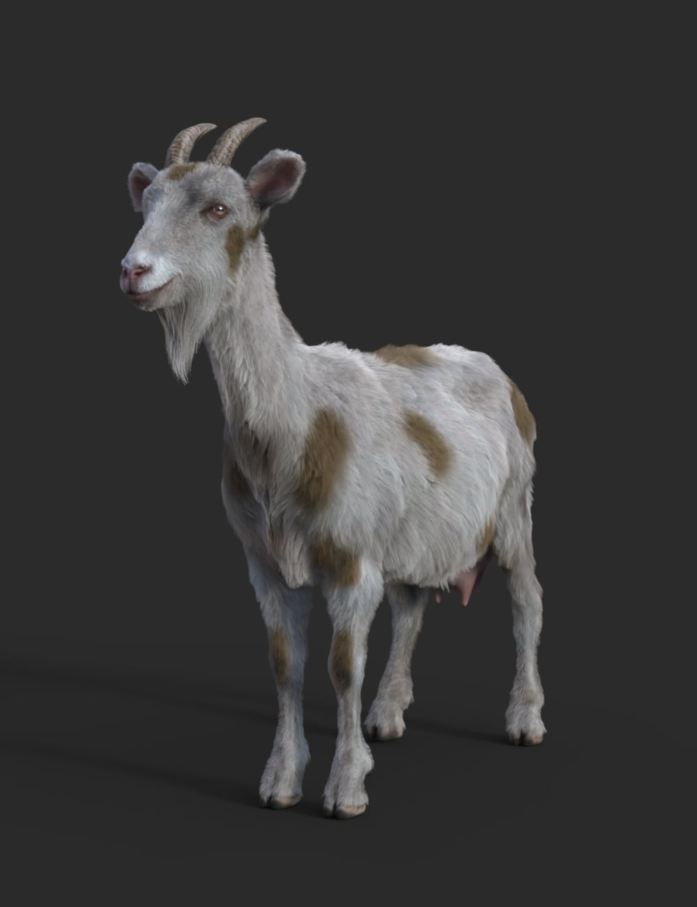 Goat by AM Bundle | Daz 3D