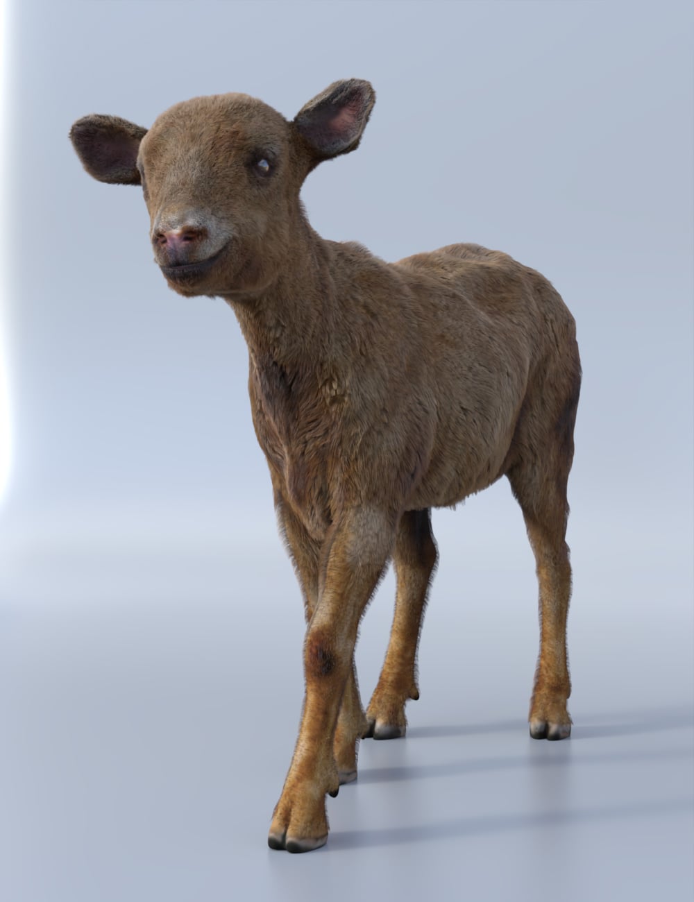 Goat by AM Bundle | Daz 3D