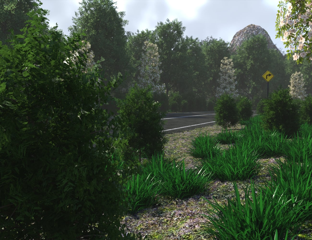 The Road | Daz 3D