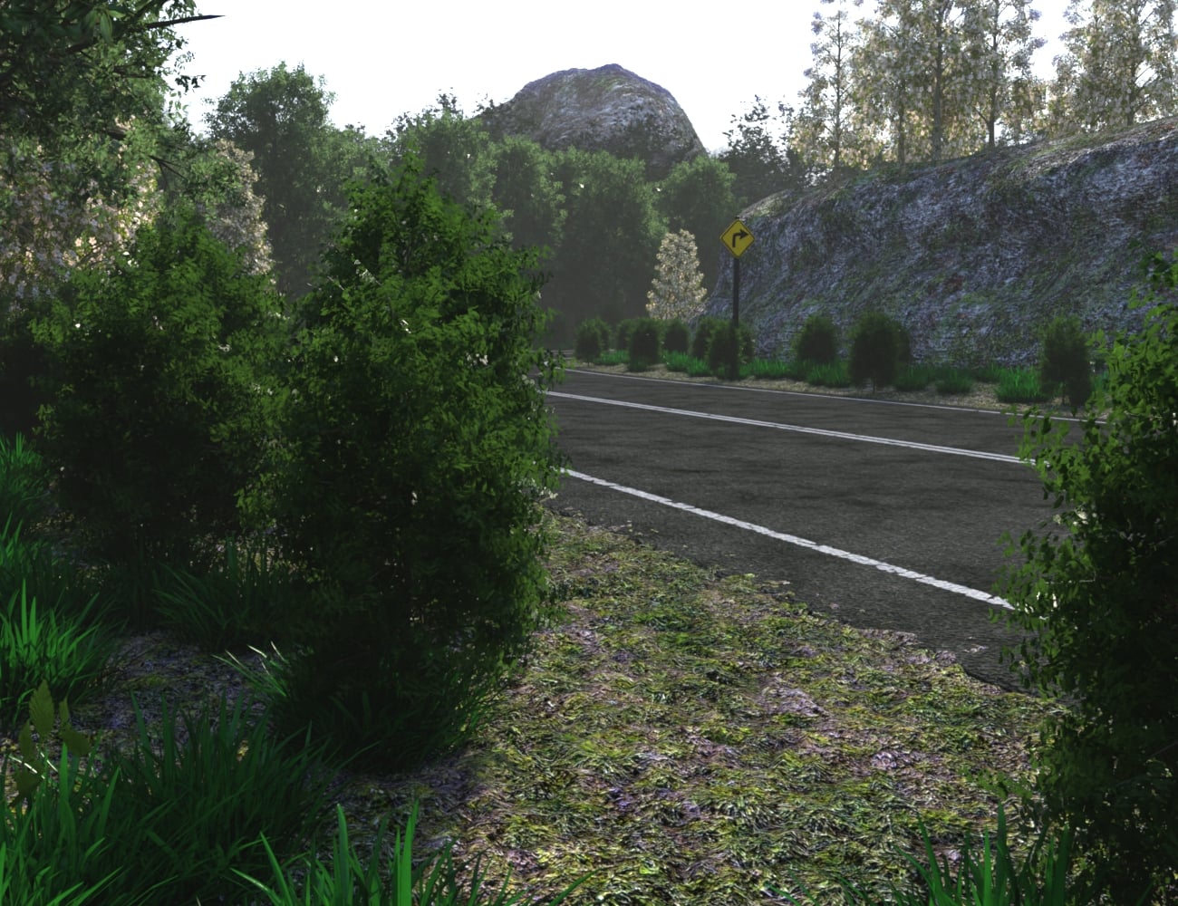 The Road | Daz 3D