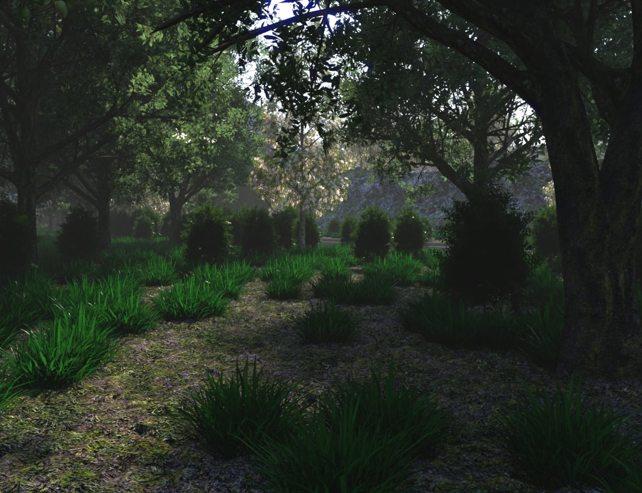 The Road | Daz 3D