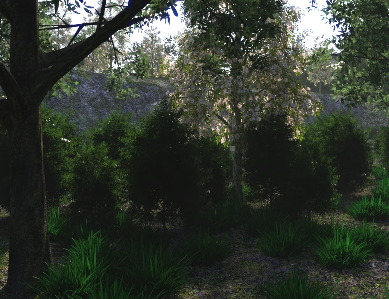 The Road | Daz 3D