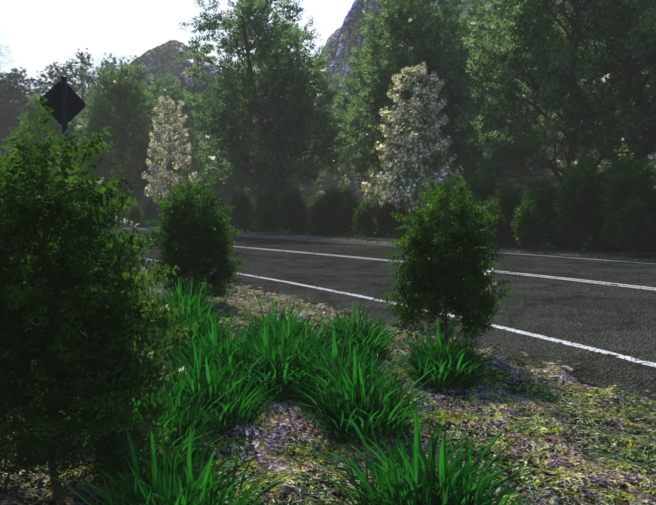 The Road | Daz 3D