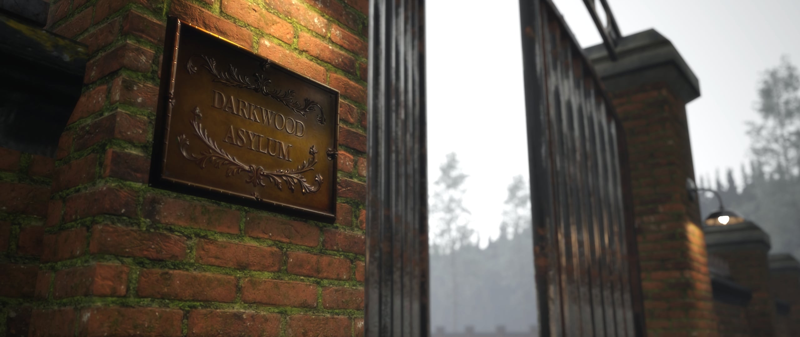 Darkwood Asylum | Daz 3D