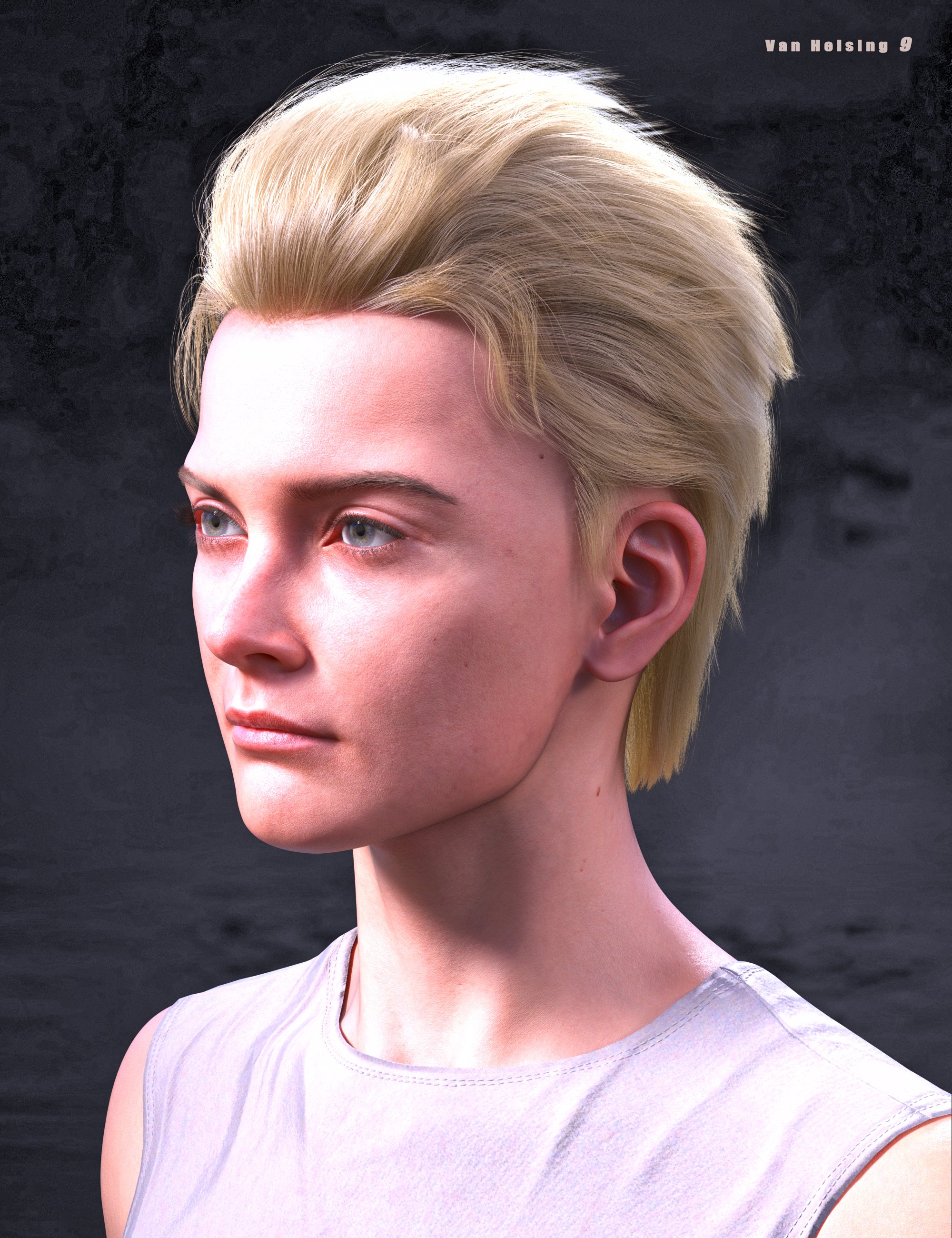 dForce Strand-Based FE Dragon Beard Back Hair for Genesis 9 | Daz 3D