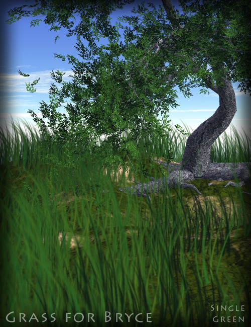Bryce Instance Grass | Daz 3D