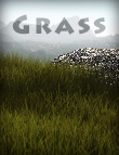 Bryce Instance Grass | Daz 3D