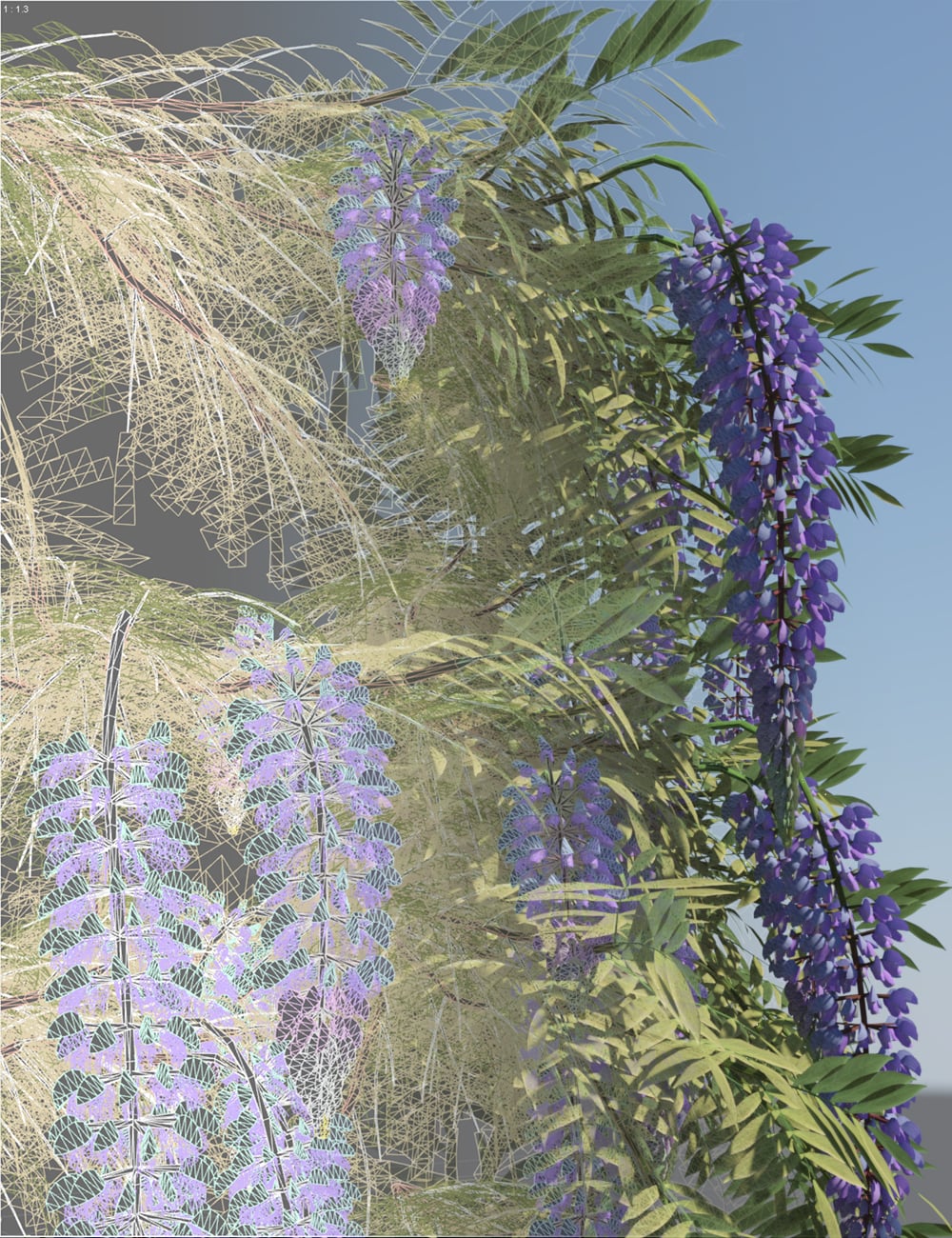 Scatters - Wisteria - With Ultra Scatter 2 Presets | Daz 3D