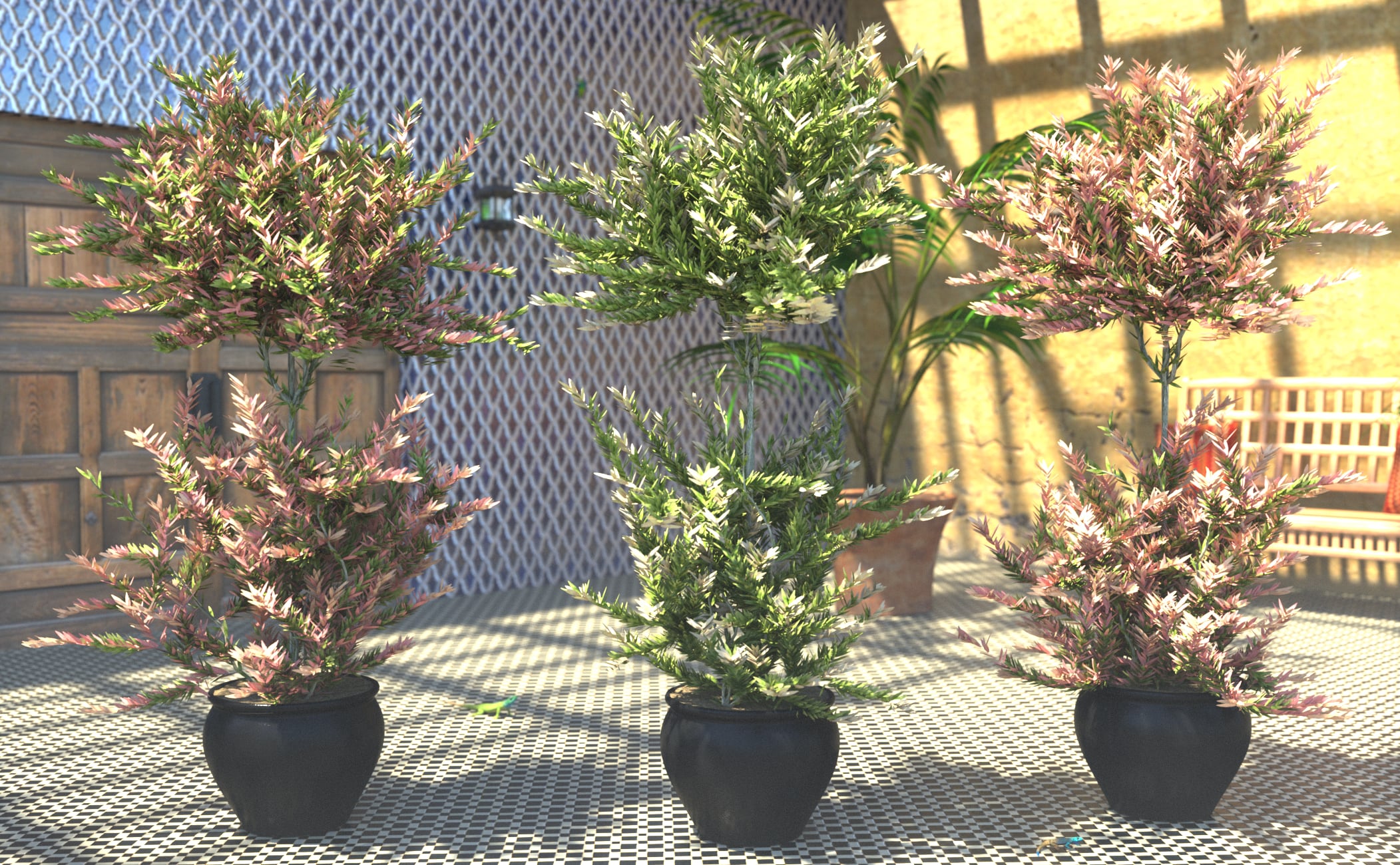 Low Res Flamingo Trees | Daz 3D