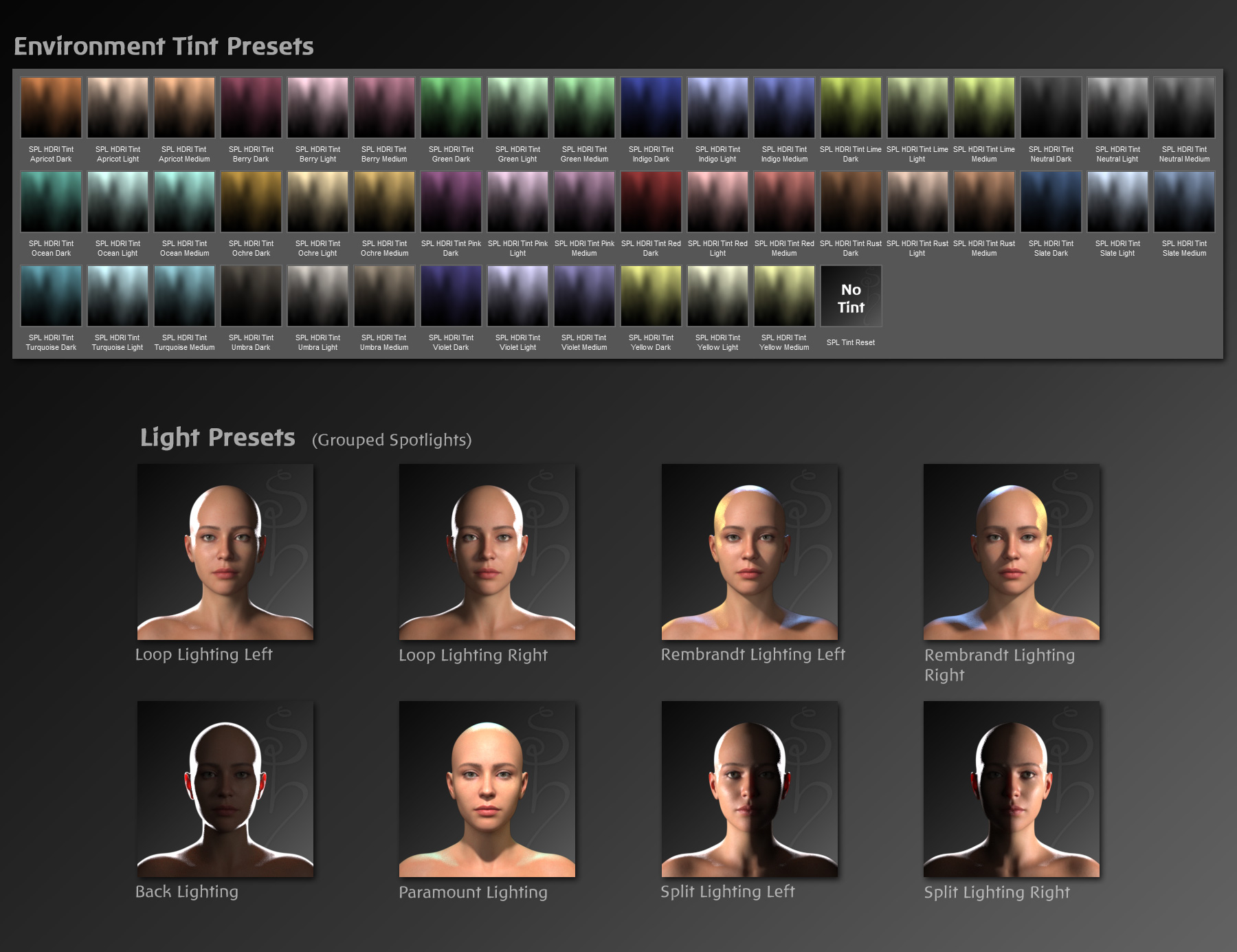 Subtle Portrait Lights and HDRIs | Daz 3D