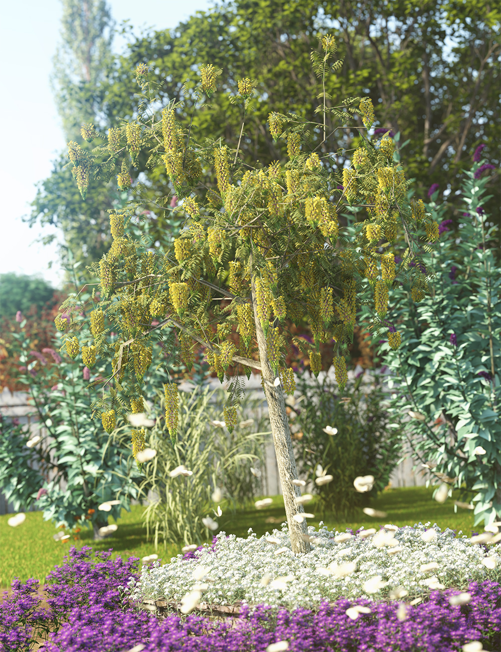 Flowering Trees - Laburnum | Daz 3D