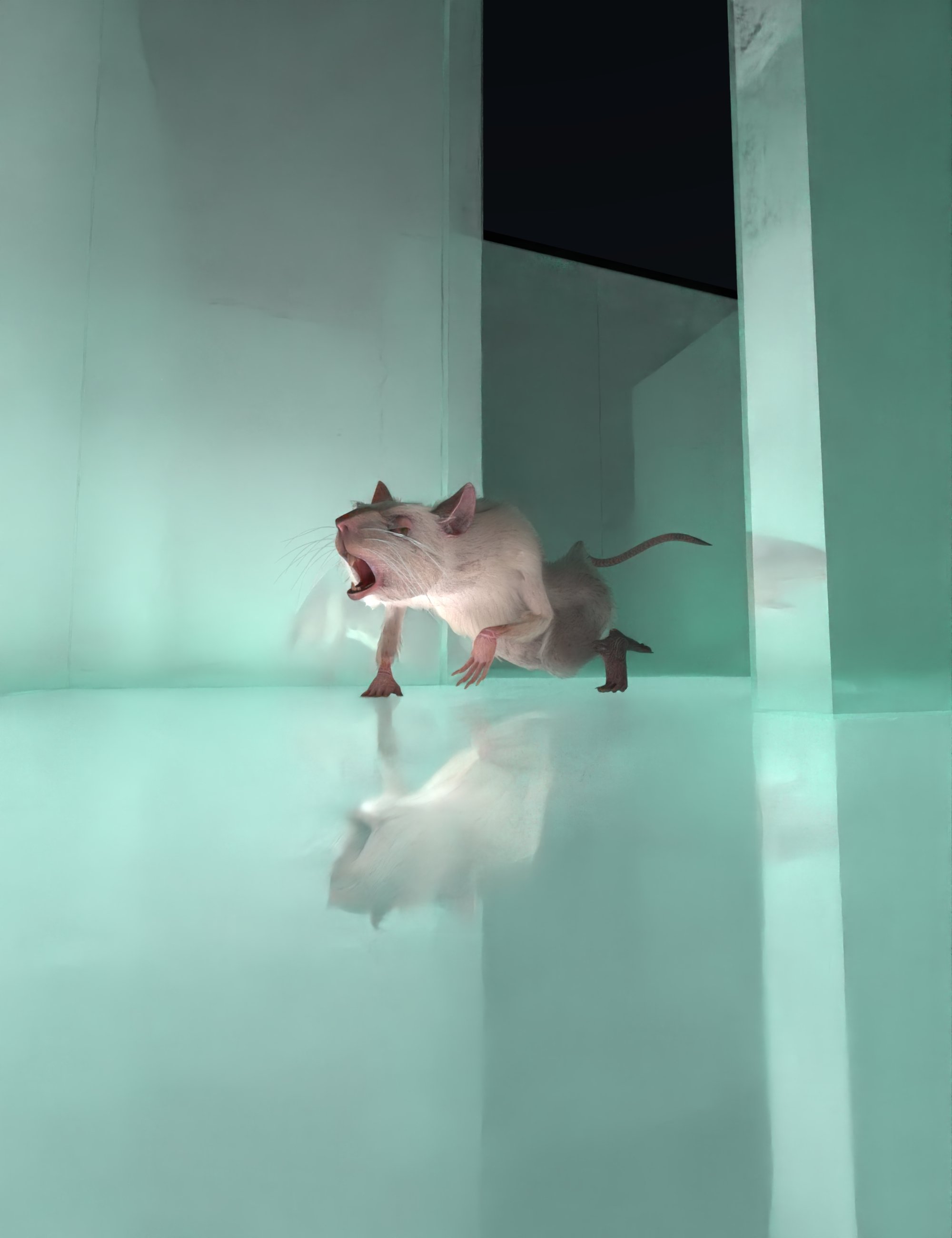 HT The Mouse Labyrinth | Daz 3D