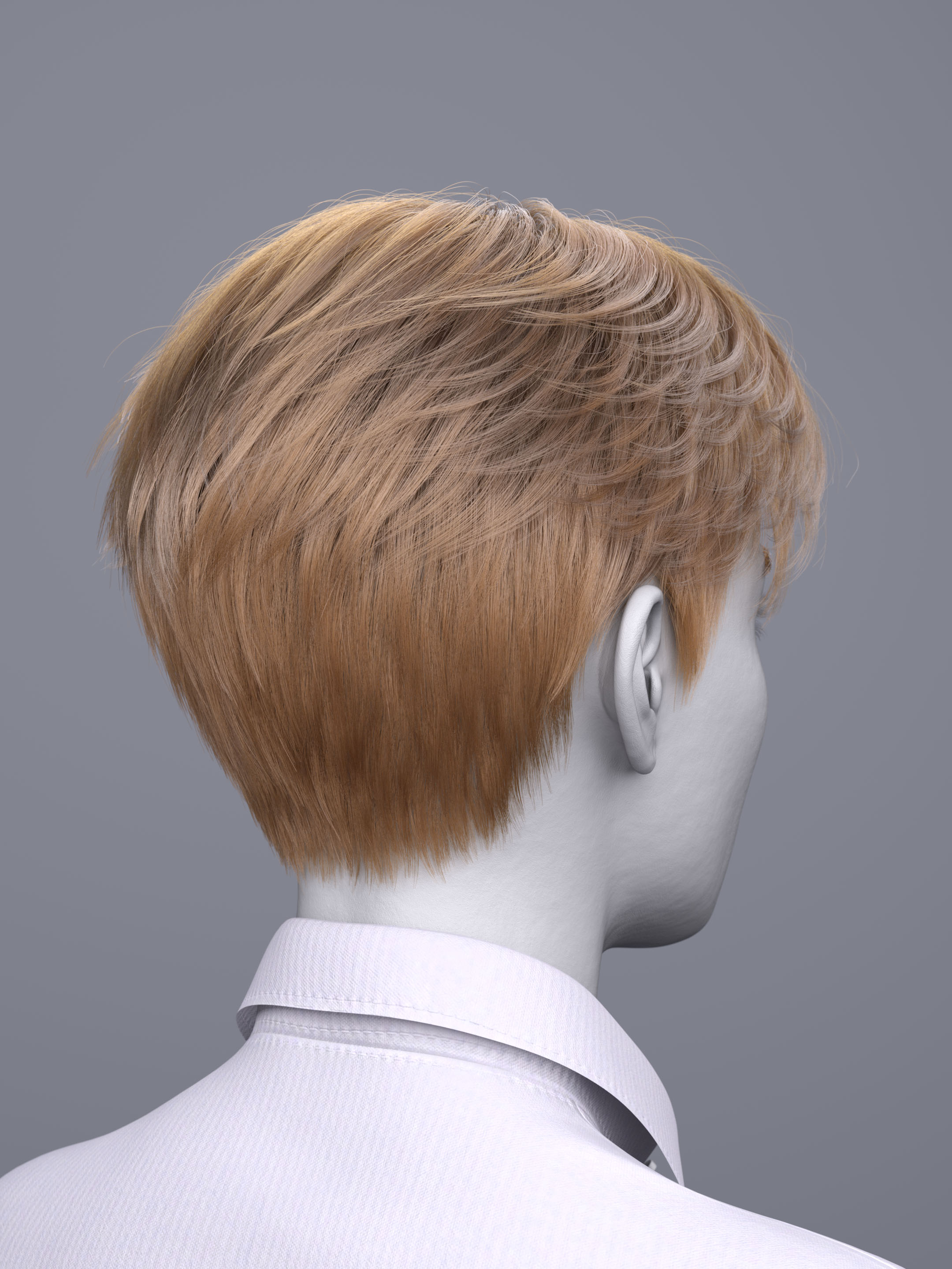 dForce FV Layered Idol Hair for Genesis 9 | Daz 3D
