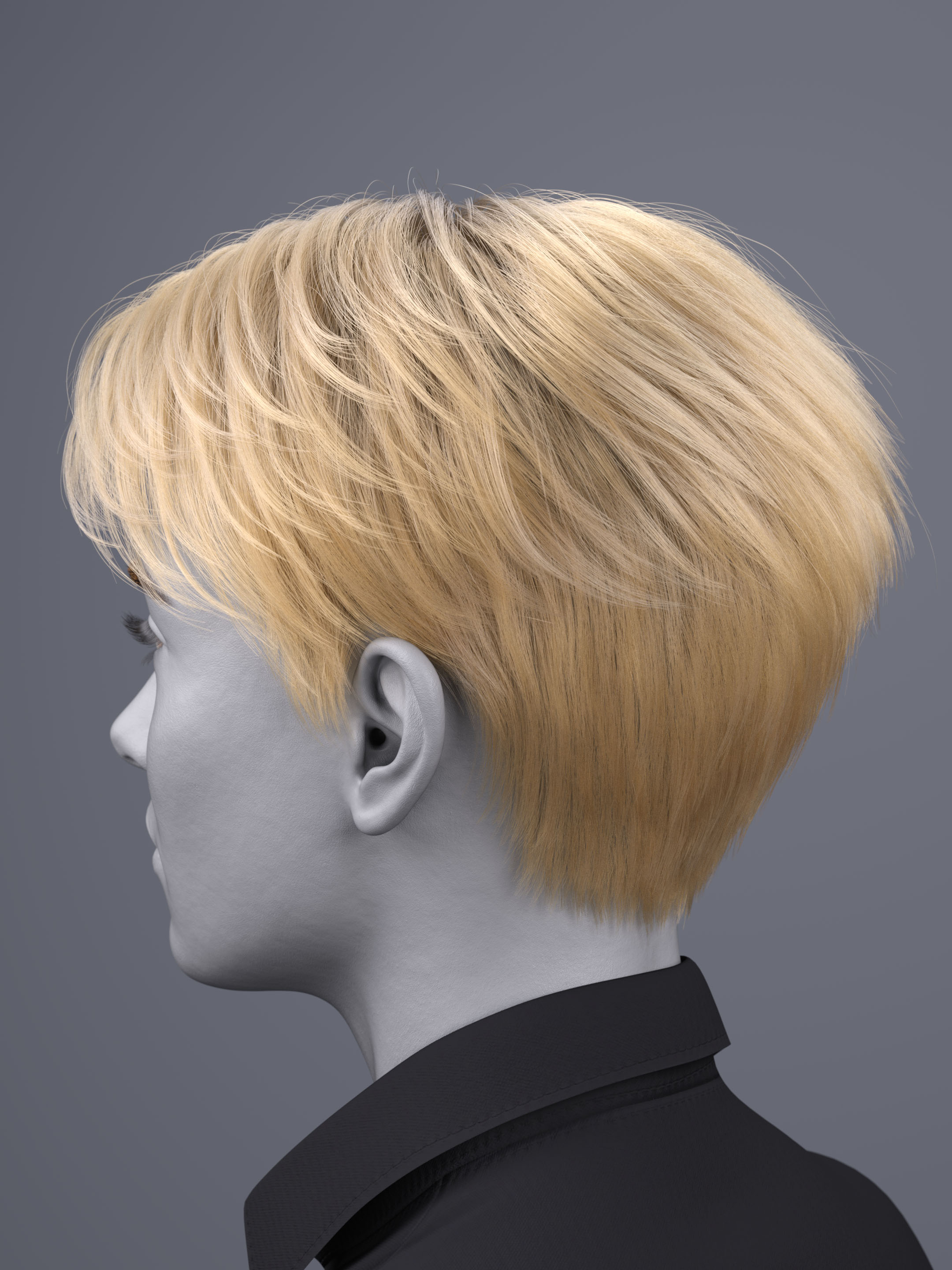 dForce FV Layered Idol Hair for Genesis 9 | Daz 3D
