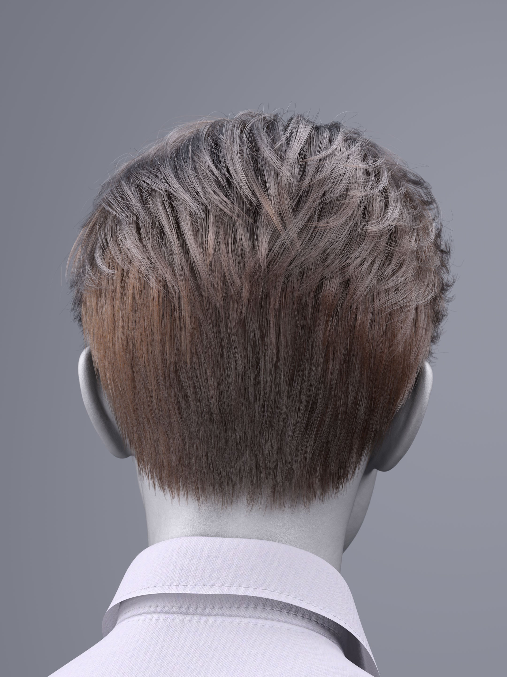 dForce FV Layered Idol Hair for Genesis 9 | Daz 3D