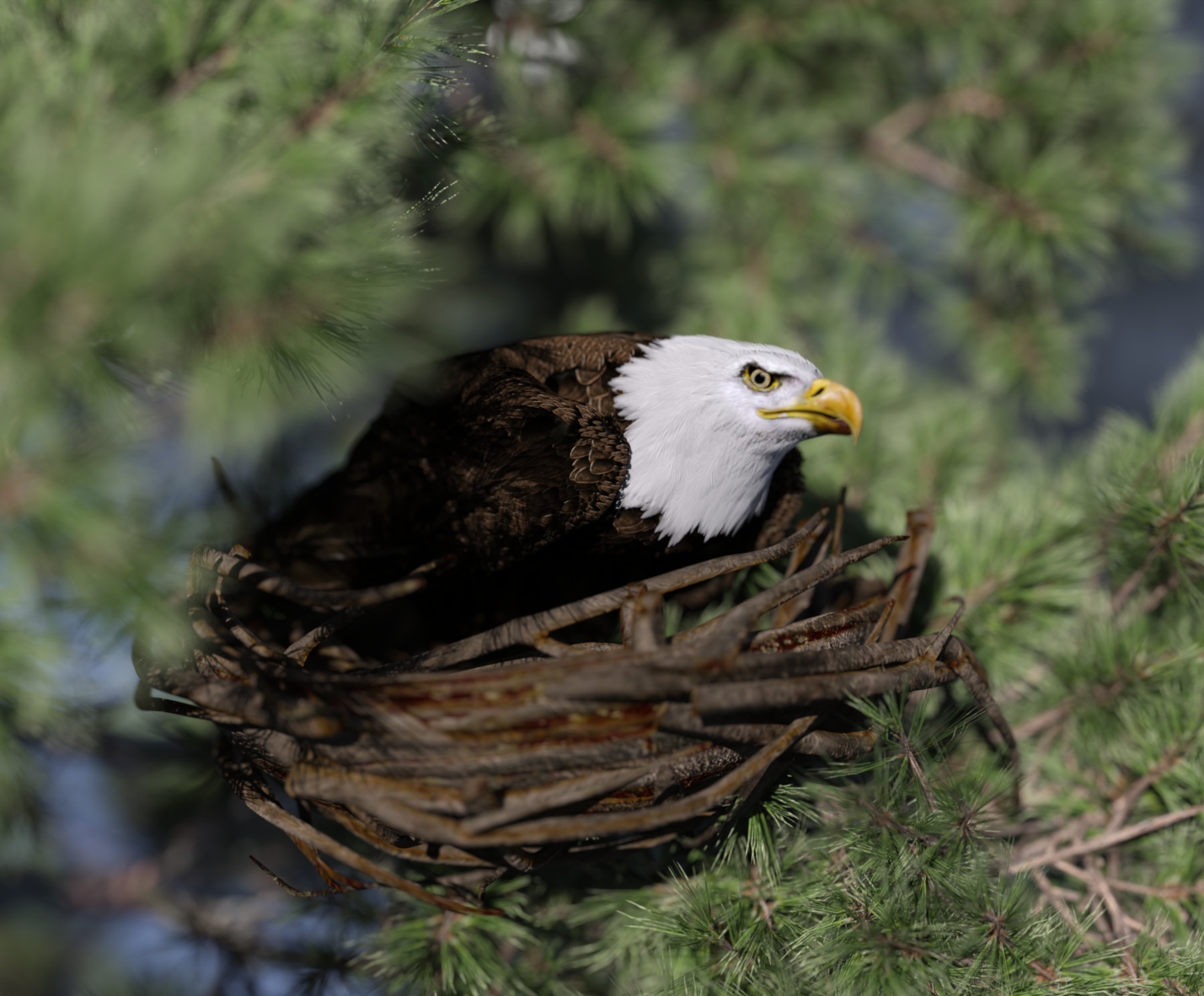 Bald Eagle by AM | Daz 3D