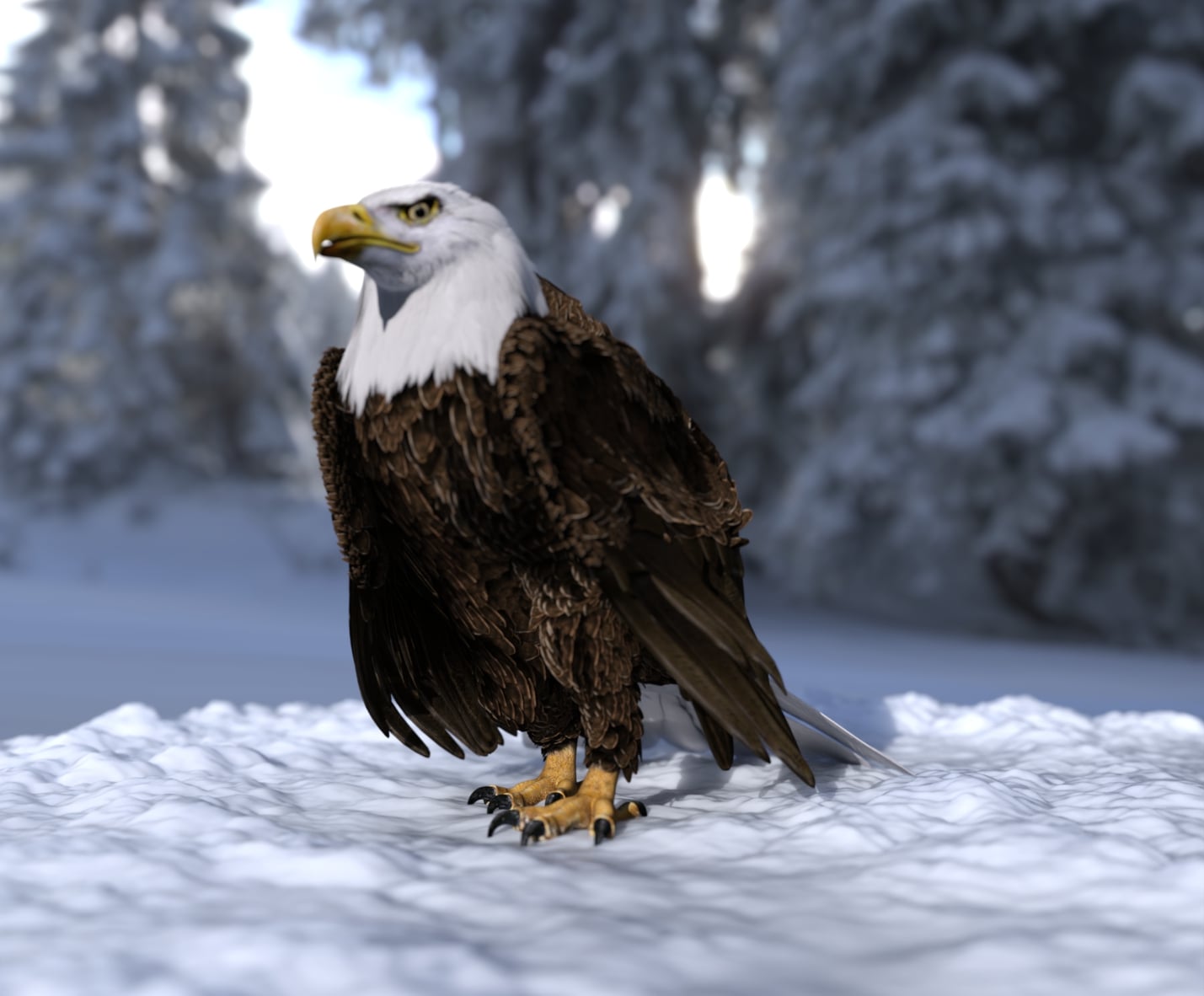 Bald Eagle by AM | Daz 3D