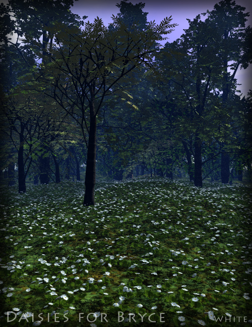 Bryce Instance Daisies | Daz 3D