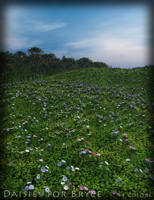 Bryce Instance Daisies | Daz 3D