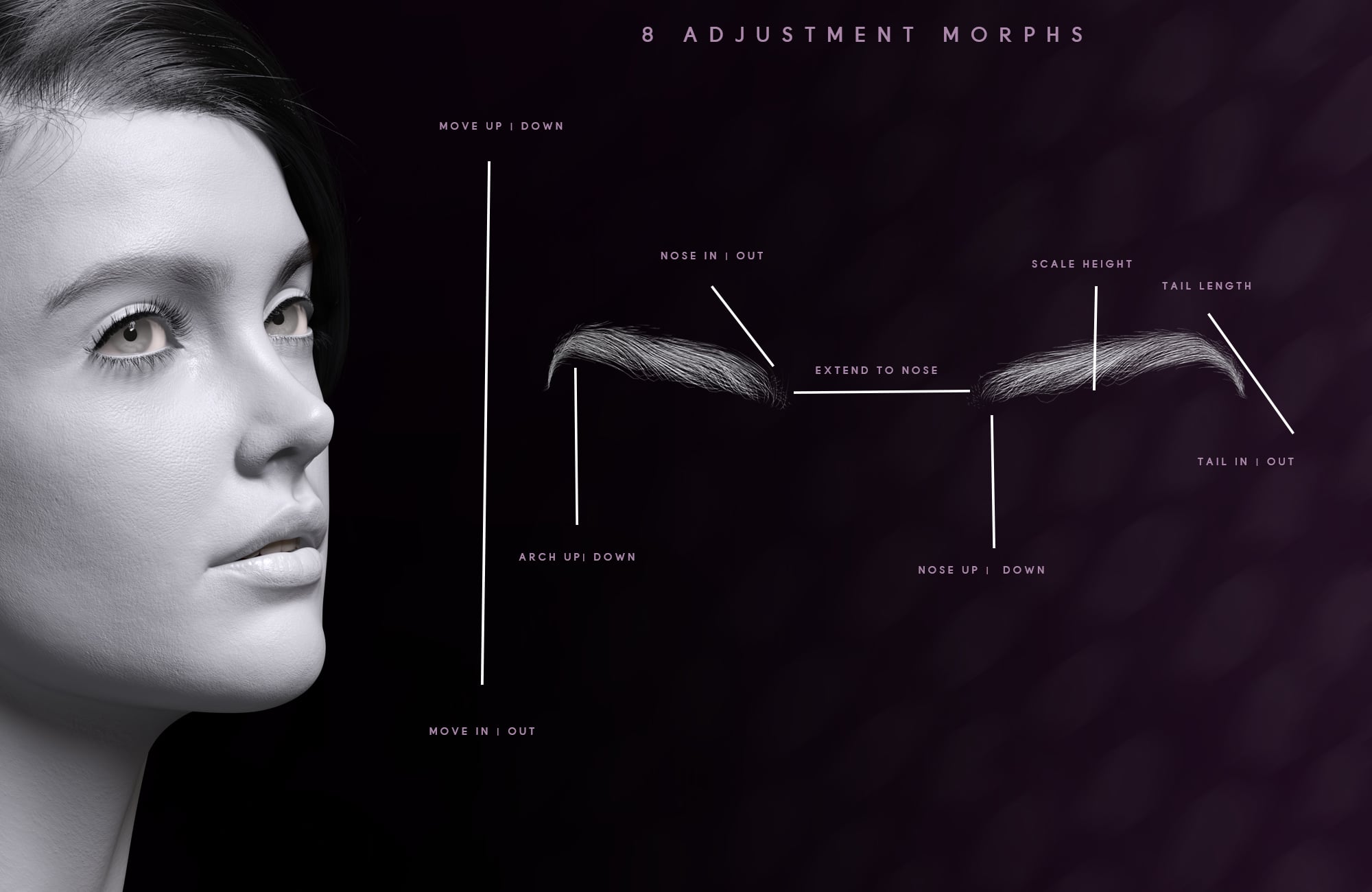 Beautiful Brows 9 Merchant Resource For Genesis 9 | Daz 3D