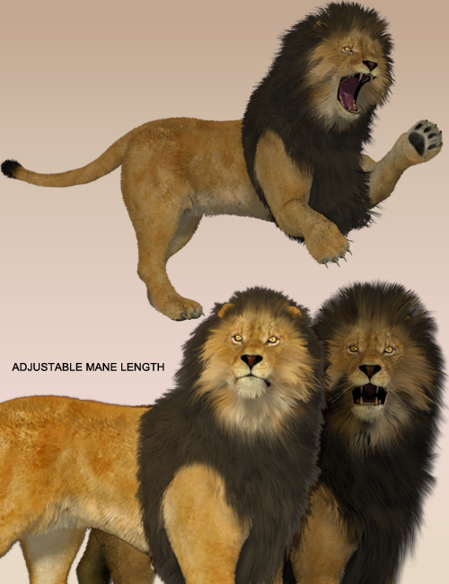 Lions by AM | Daz 3D