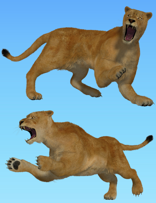 Lions by AM | Daz 3D