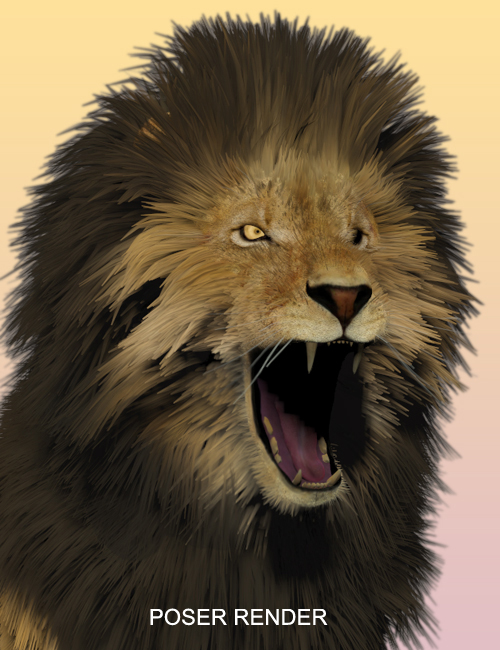 Lions by AM | Daz 3D