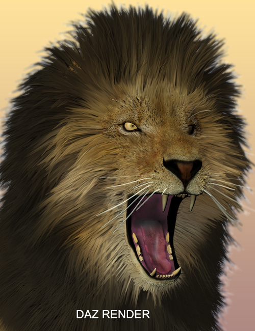 Lions by AM | Daz 3D