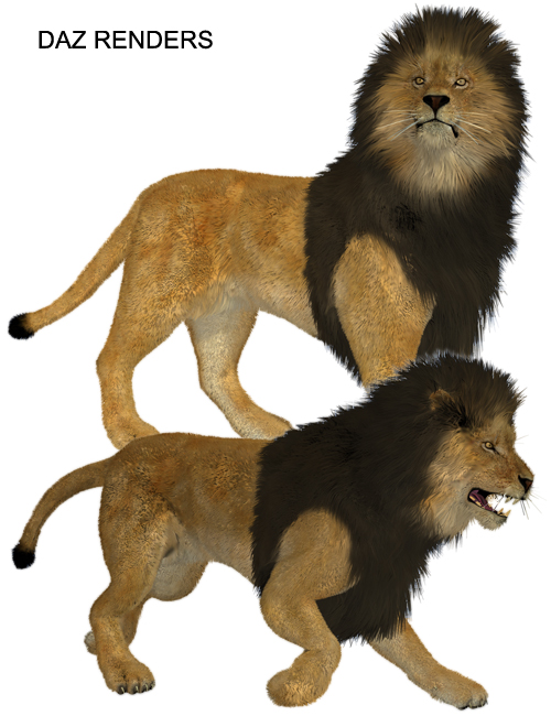 Lions by AM | Daz 3D