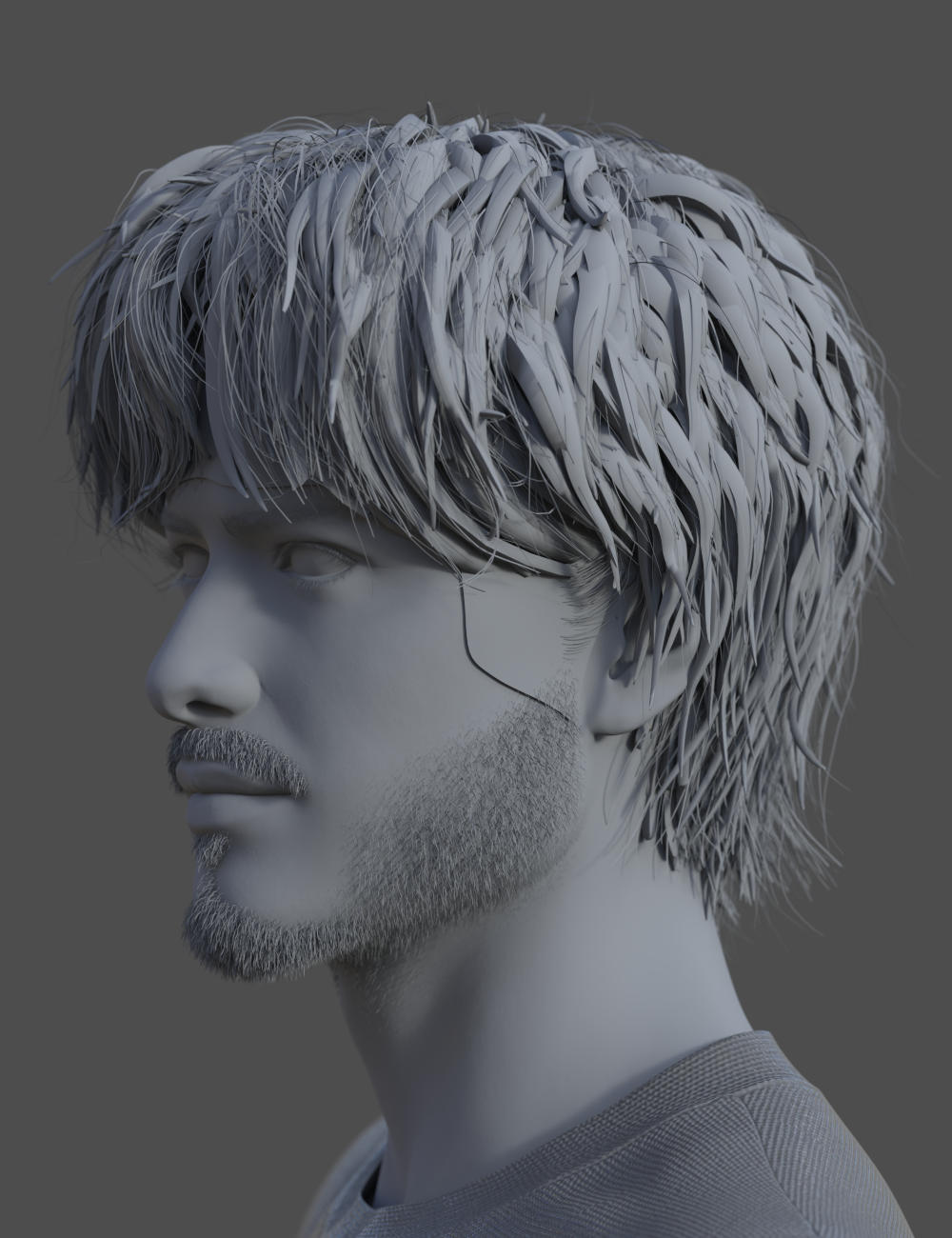 Short Wavy Hair and Beard for Genesis 9 | Daz 3D