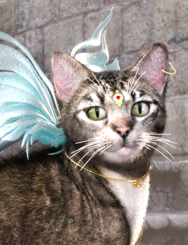 T3d Meow Cupid for Daz3d House Cat | Daz 3D