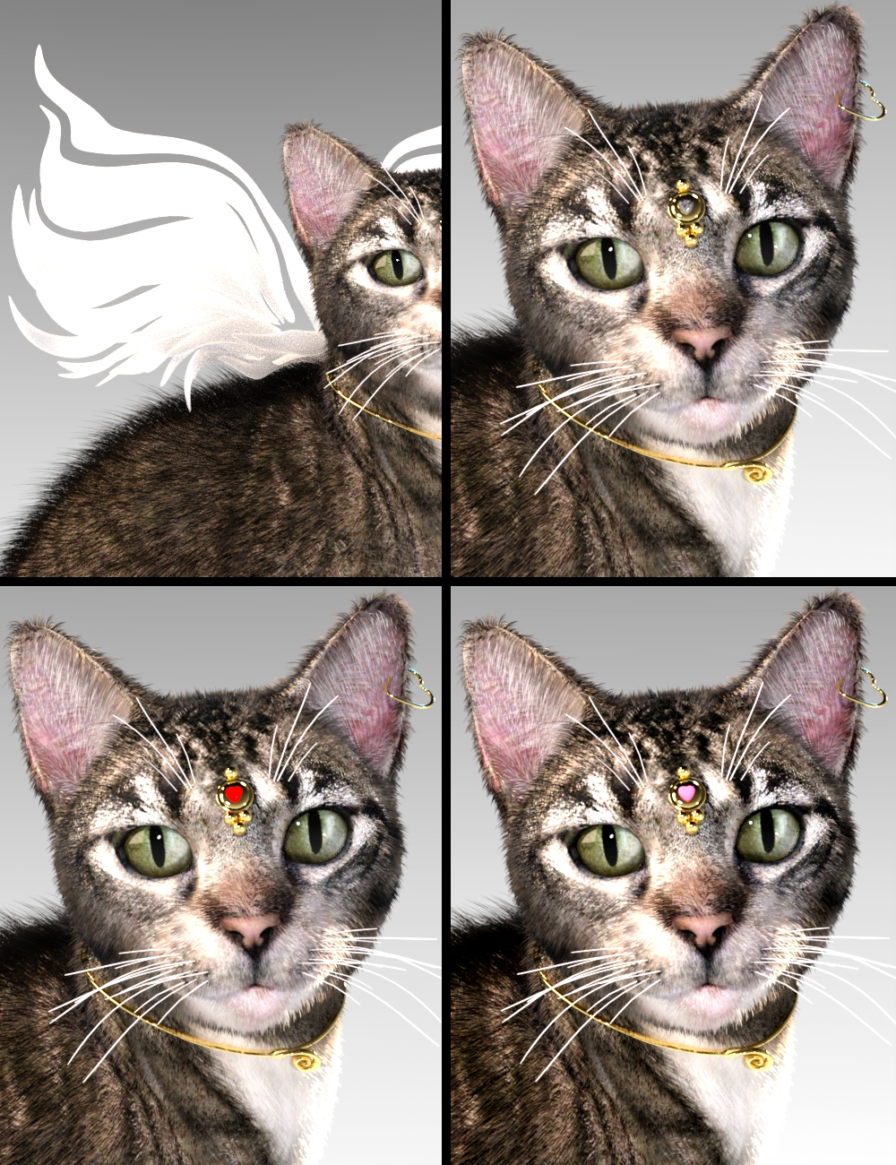 T3d Meow Cupid for Daz3d House Cat | Daz 3D