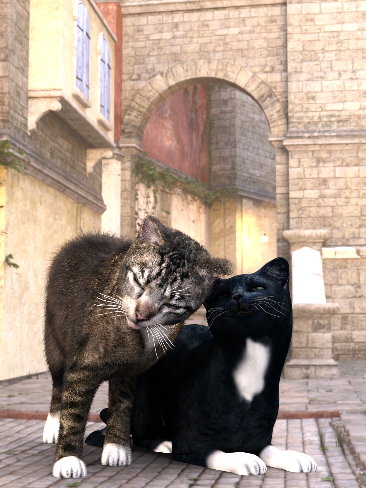 T3d Meow Xpress for Daz House Cat | Daz 3D