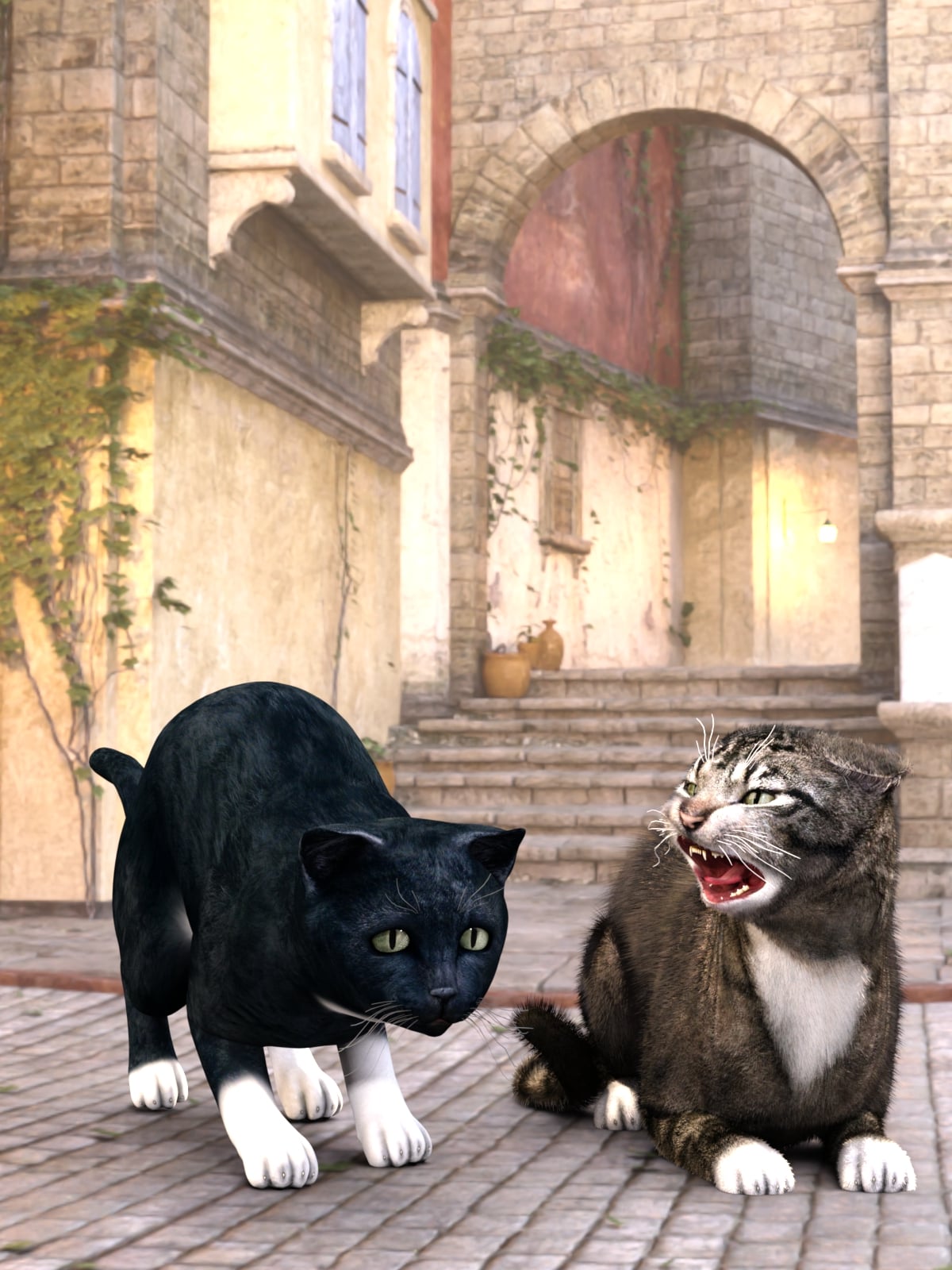 T3d Meow Xpress for Daz House Cat | Daz 3D