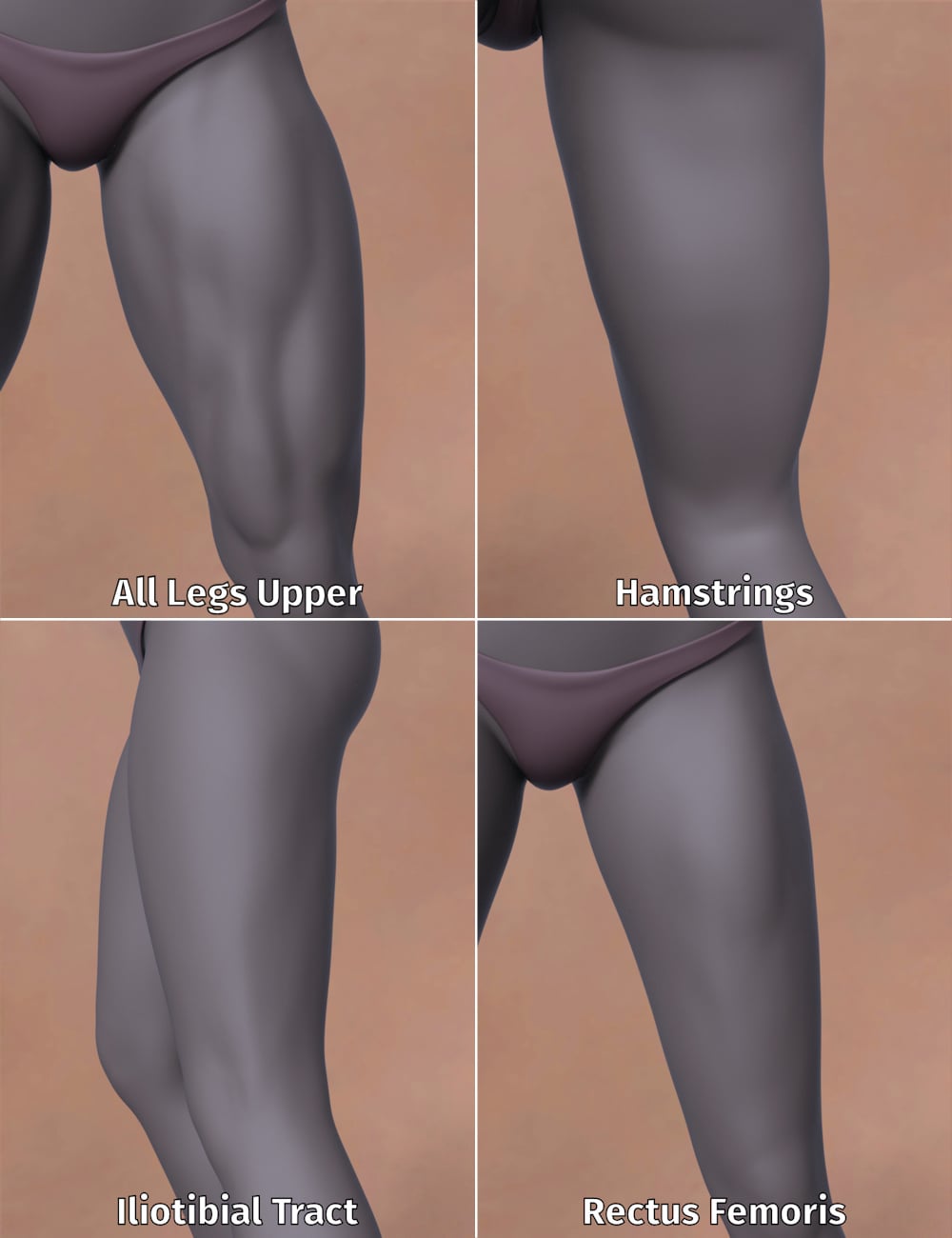 Musculature HD Feminine Morphs for Genesis 9 | Daz 3D