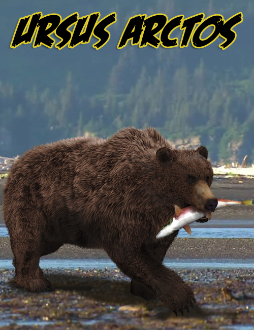Ursus Arctos | Daz 3D