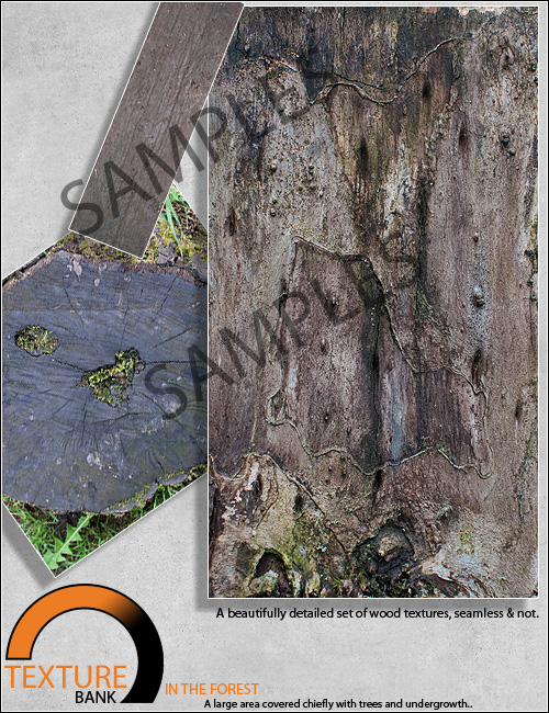Texture Bank Vol 8 In The Forest | Daz 3D