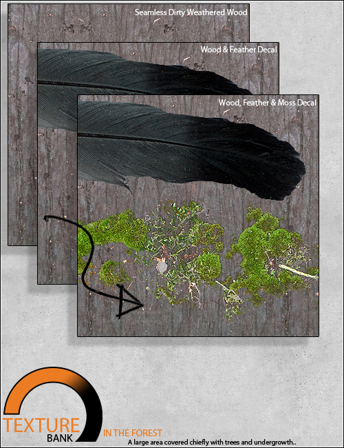 Texture Bank Vol 8 In The Forest | Daz 3D