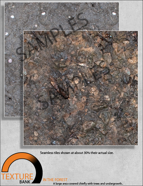 Texture Bank Vol 8 In The Forest | Daz 3D