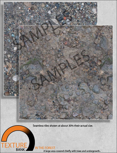 Texture Bank Vol 8 In The Forest | Daz 3D