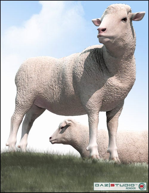 Animal Starter Bundle | Daz 3D