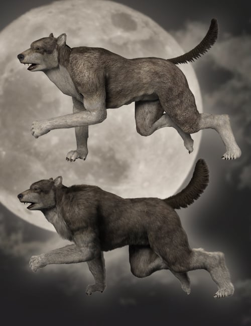 The Man Wolf | Daz 3D