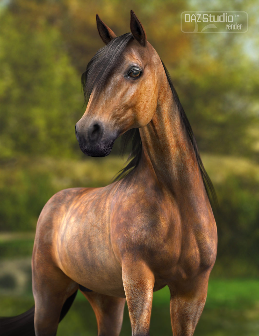 DAZ Horse 2 Pro Bundle | Daz 3D