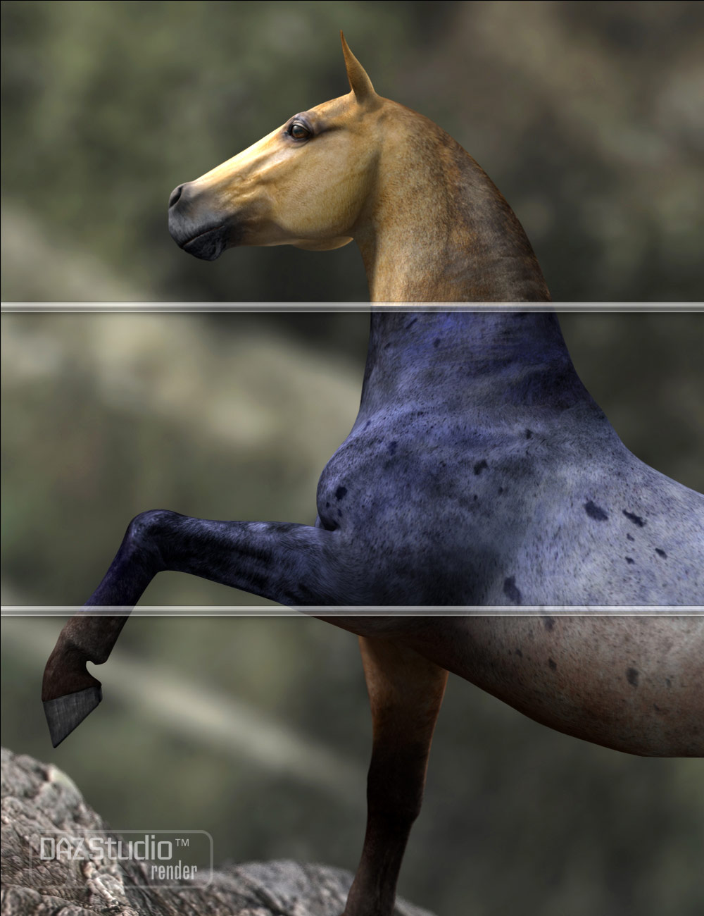 DAZ Horse 2 Pro Bundle | Daz 3D