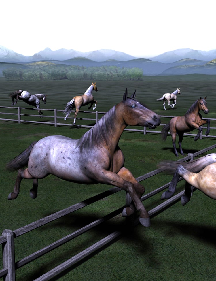 Walking, Trotting, Cantering, Galloping, and Jumping Actions Bundle ...