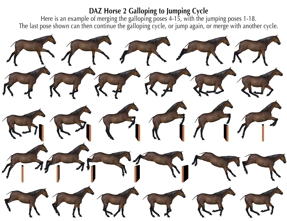 Walking, Trotting, Cantering, Galloping, and Jumping Actions Bundle ...