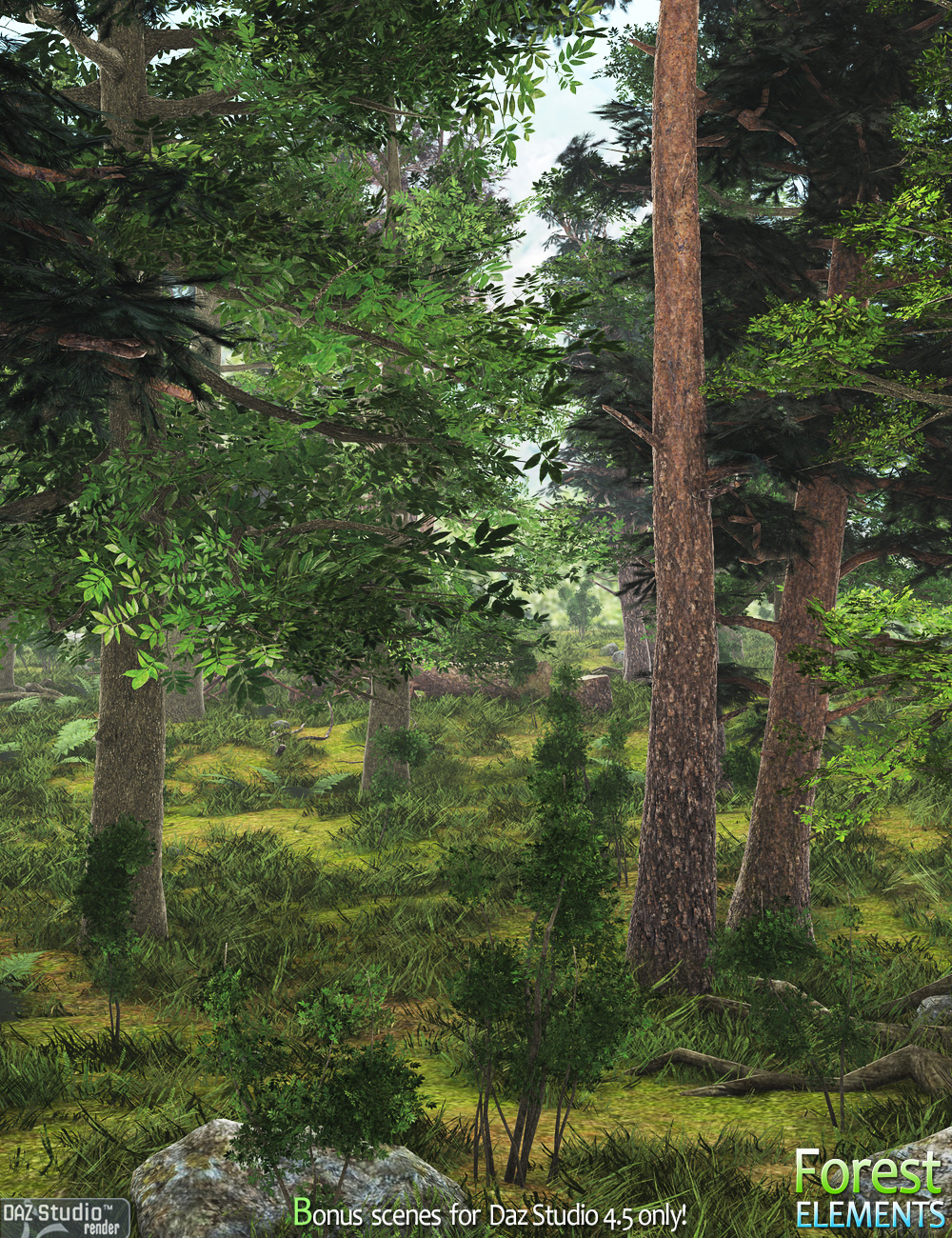 Forest Elements | Daz 3D