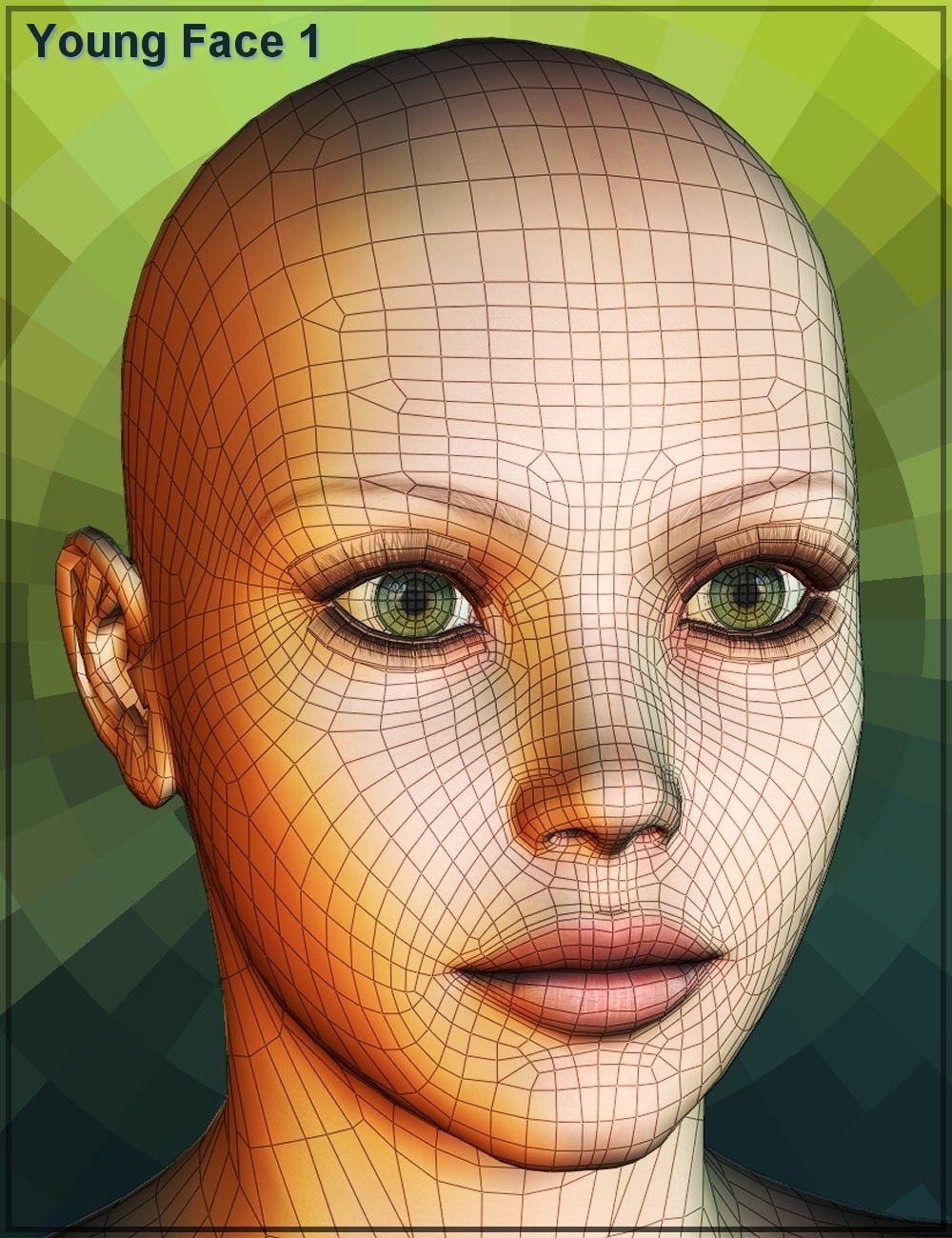 Genesis Head Morph Resource Kit 4 | Daz 3D